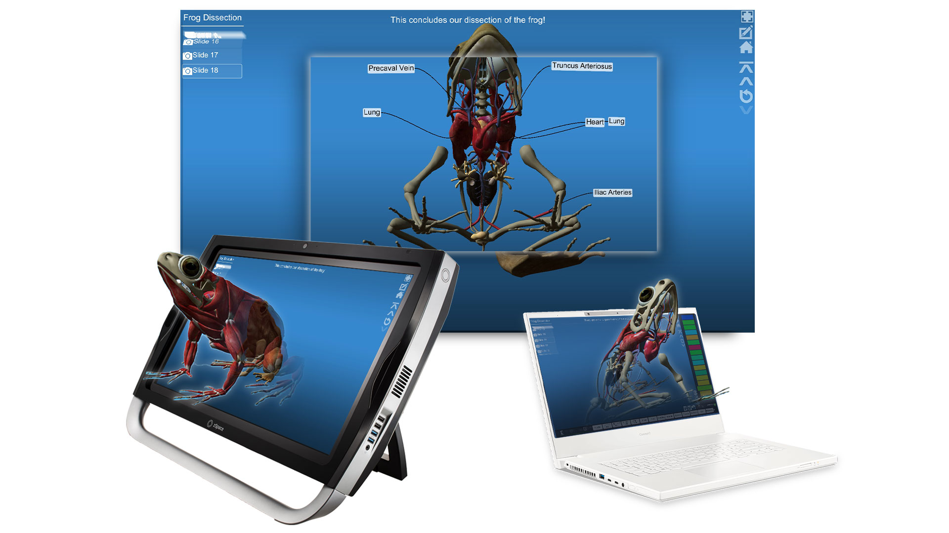 AIO-Inspire-IFP - VIVED Science