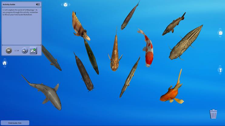 Home Educators Lessons Collection: Fish